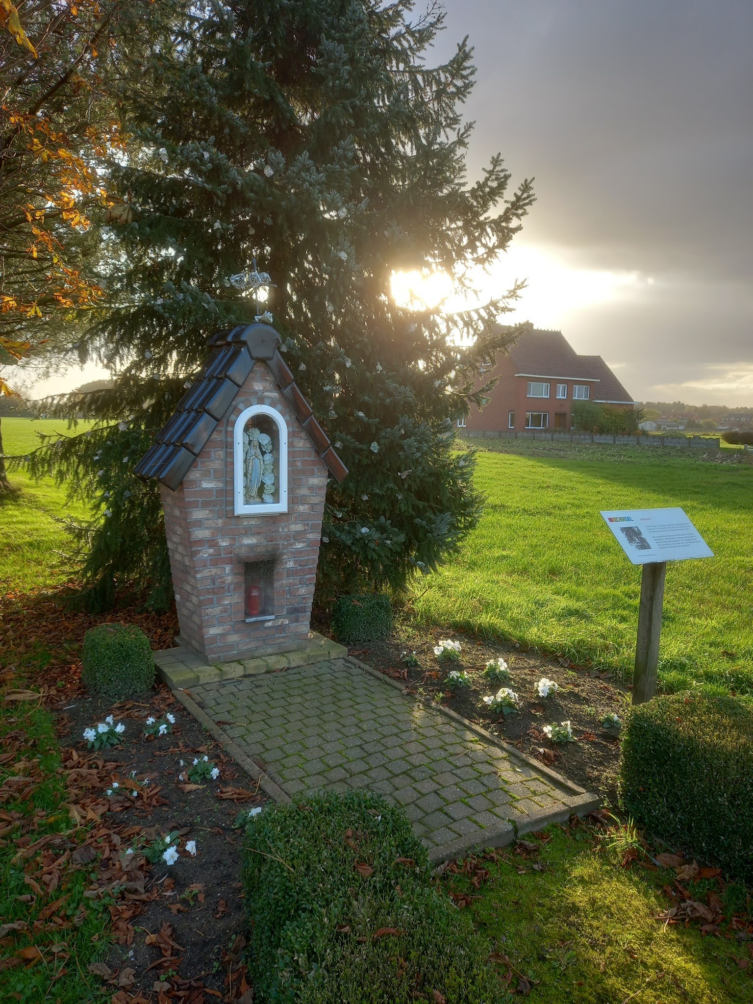 Walking Jeff: wandeling 2980 Zoersel: 14 km.