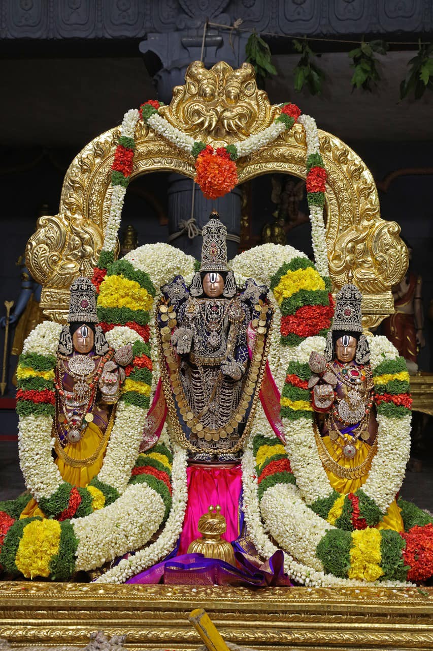 Tirumala TTD Wedding Prasadam (Kalyana Talambralu)