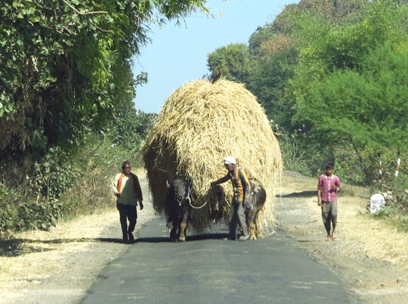 GOING ON ADVENTURES: Life in rural India