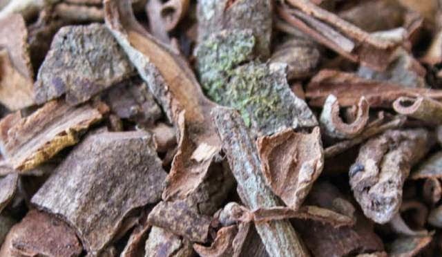 SMK Farmasi DIAI College: Februari 2015