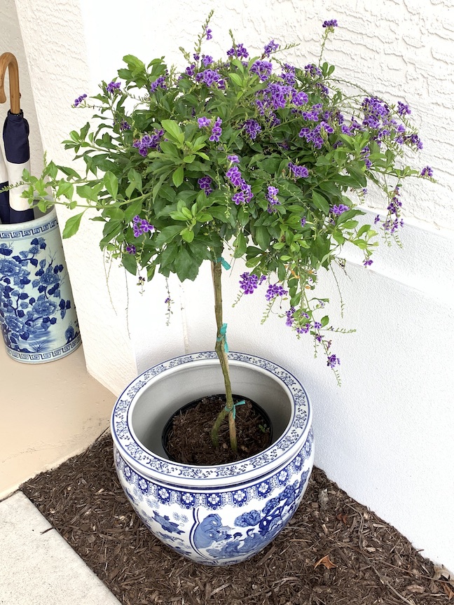 Chinoiserie Chic: Gardening ESP