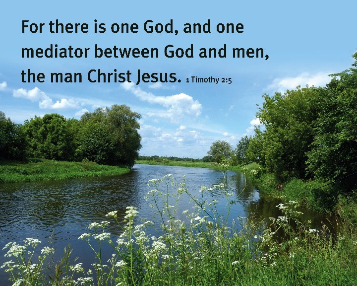 Petersham Bible Book & Tract Depot: River Meadow Scripture Text