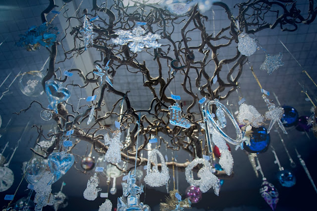 Constructive Photography L5 ~ Photographic Journalism by Chelsea Hughes