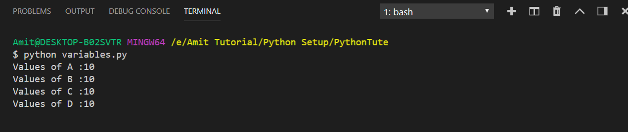 Variables in Python - Dot Net Techpoint