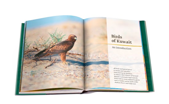 Kuwait Birding: Birds of Kuwait - A Comprehensive Visual Guide