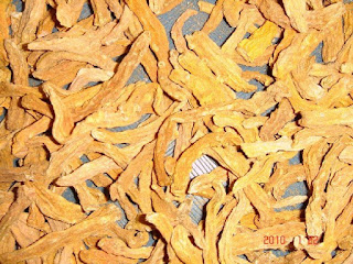 Turmeric - Post-Harvest Management Aspects | Mogriculture Tz