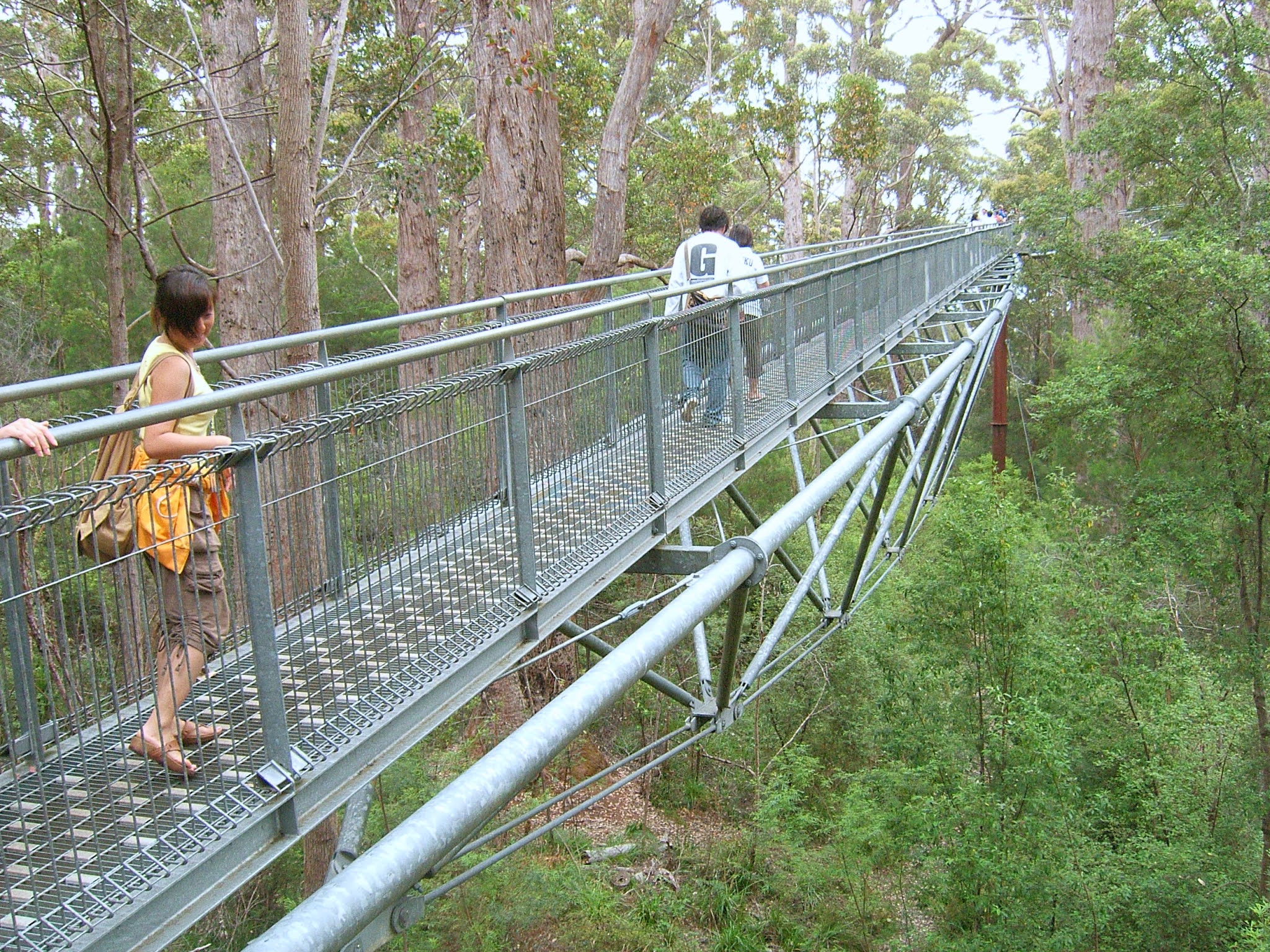 JonDent - Exploring Electronic Music: Western Australia, Tree top walk