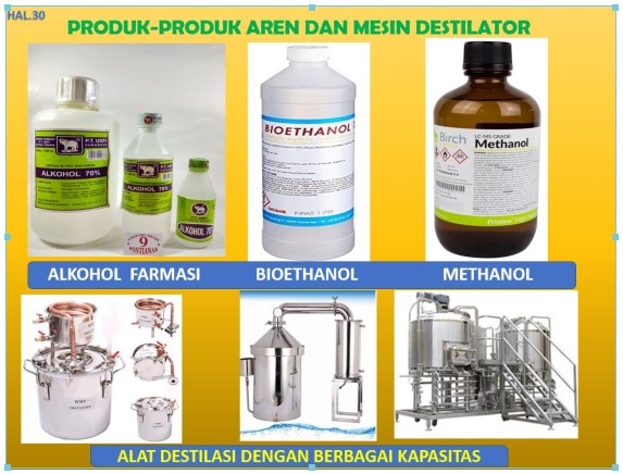 Budidaya Aren : Cara Menanam Aren Di Lahan Gambut