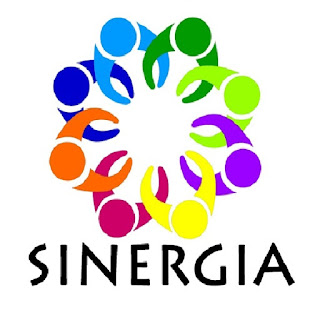 Comunidad SINERGIA