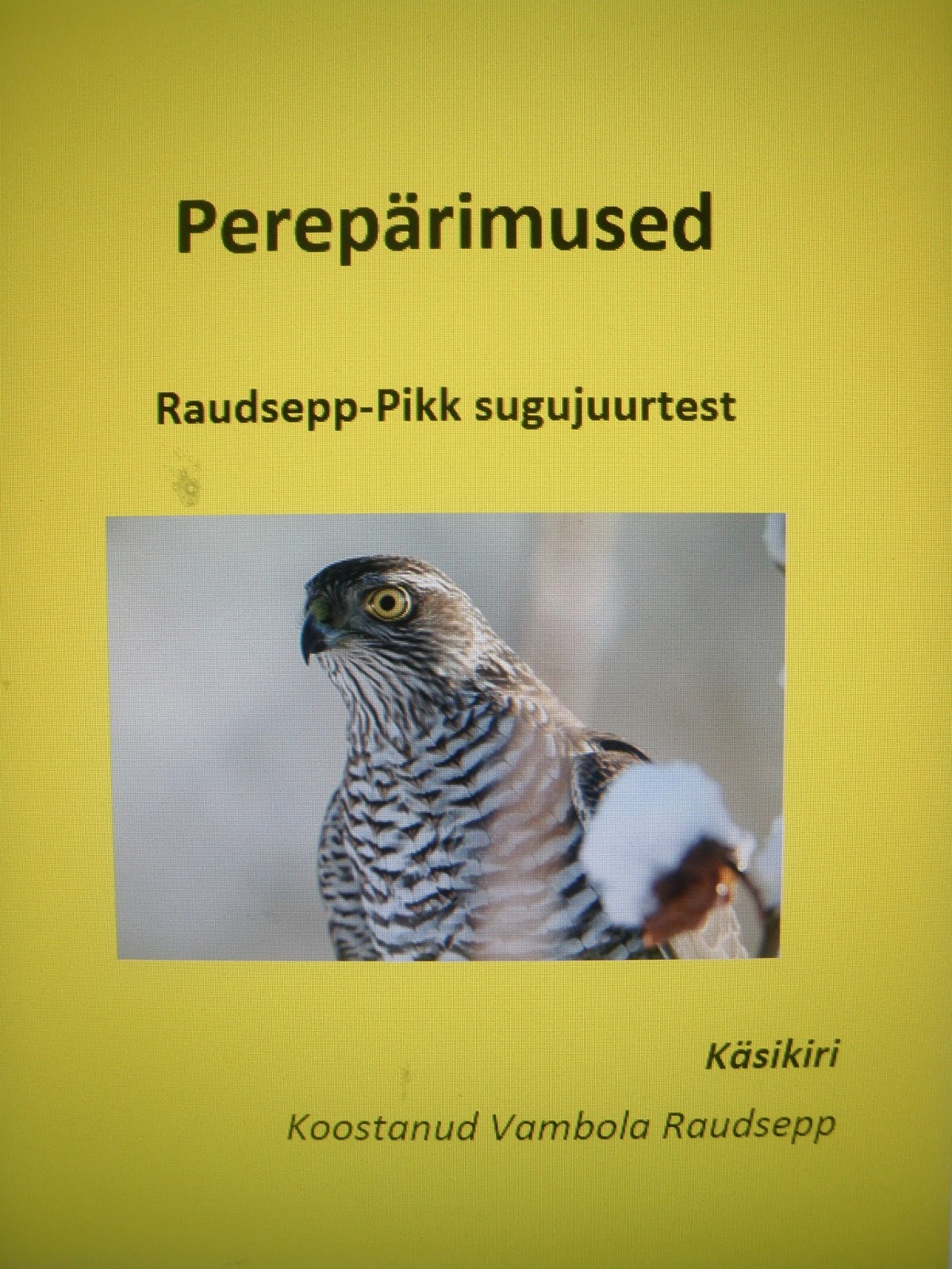 Vambola Raudsepp: Raudsepp-Pikk sugujuurtest