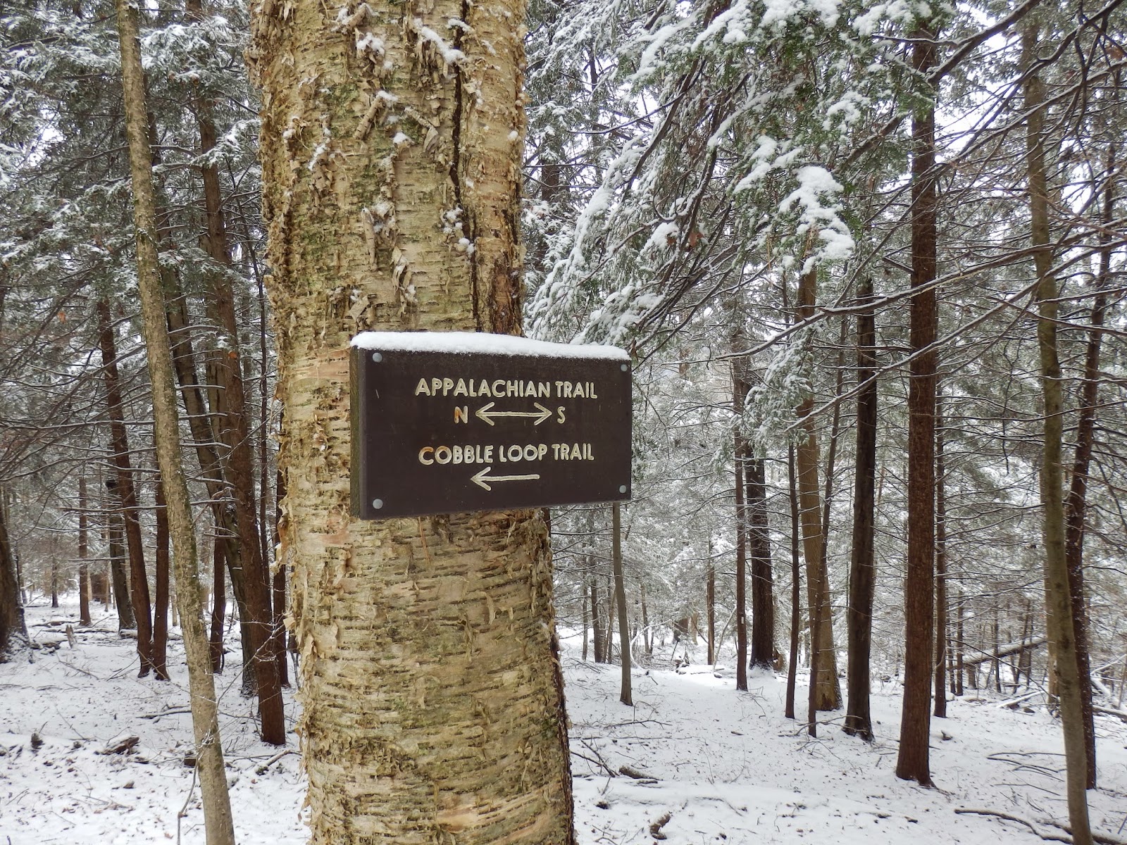 Walking Man 24 7: Tyringham Cobble