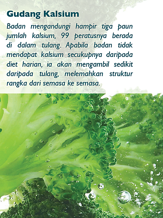USANA: PRODUK USANA