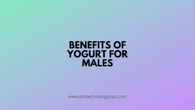 Benefits of Yogurt For Males | PRO TECHNOLOGY TIPS