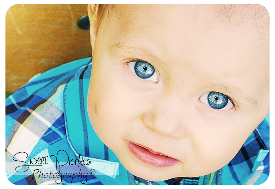 Sweet Pickles Photography: {April 2012 Updates}