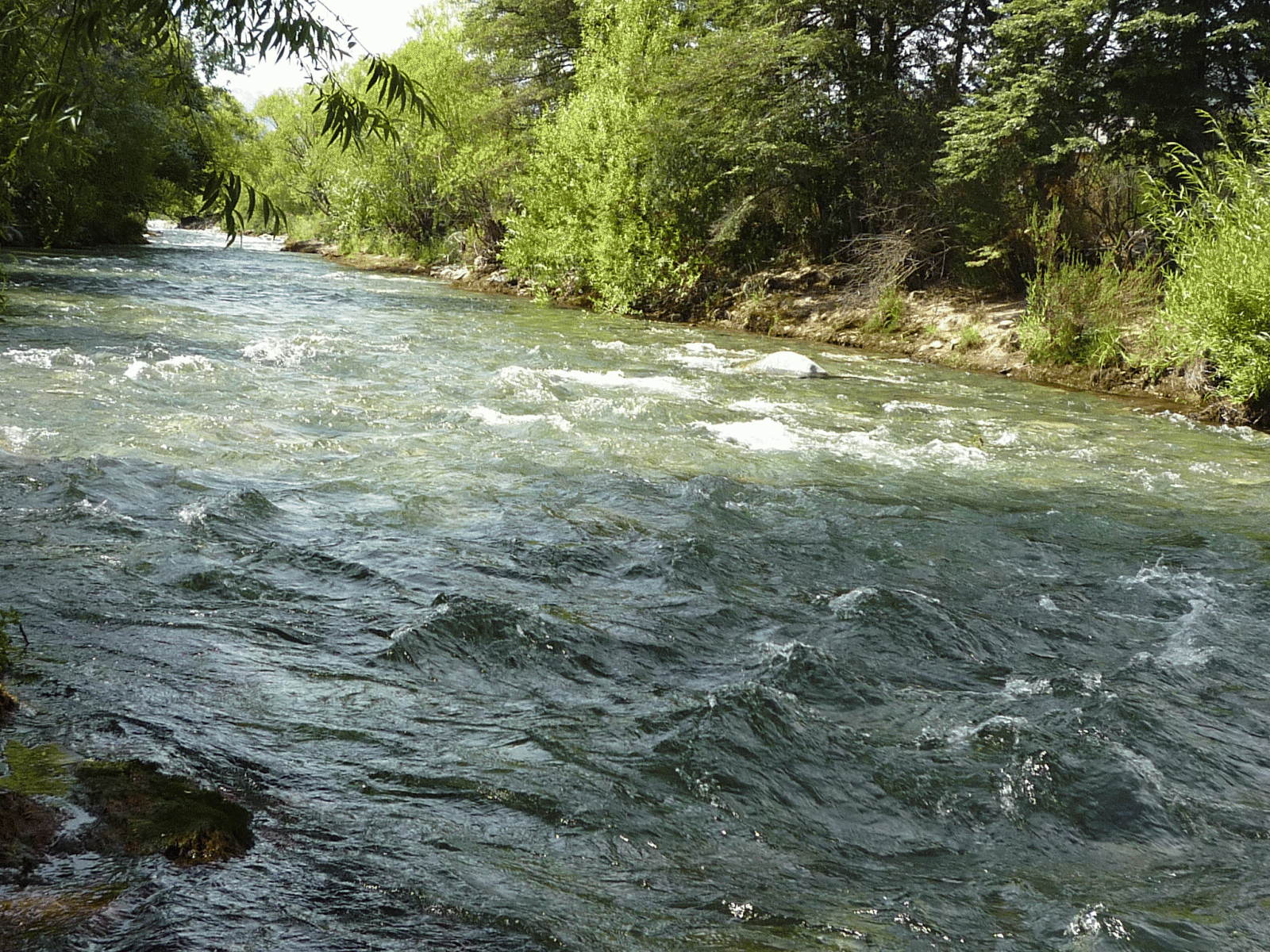 Animado De Agua