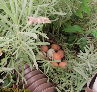 Faux Barn Wood Nest Box Tutorial | The Chicken Chick®