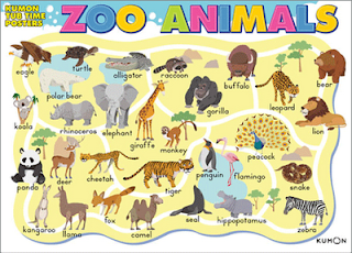 Zoo Animals And Their Names