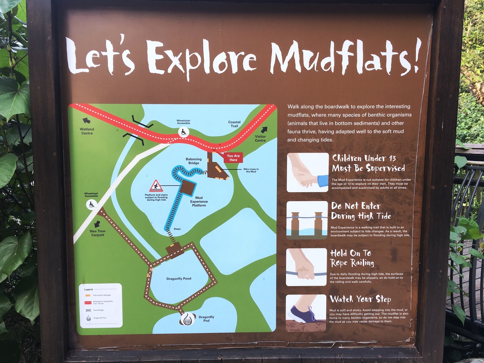 Visit Singapore - Sungei Buloh Wetland Reserve