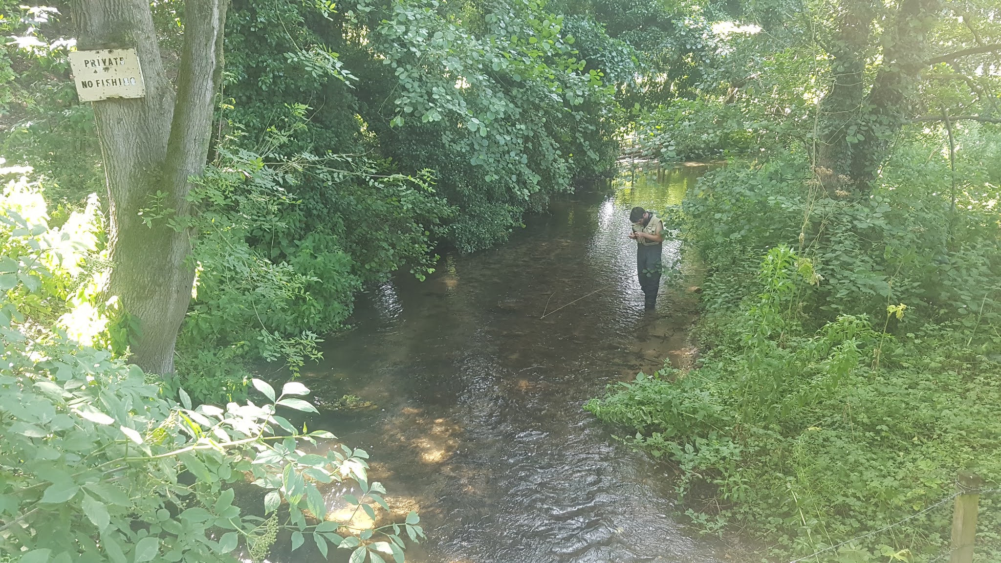 Thornton & Pickering Becks, North York Moors