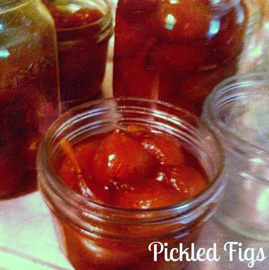 Mrs. Little's Pickled Figs Recipe {A Family Favorite}