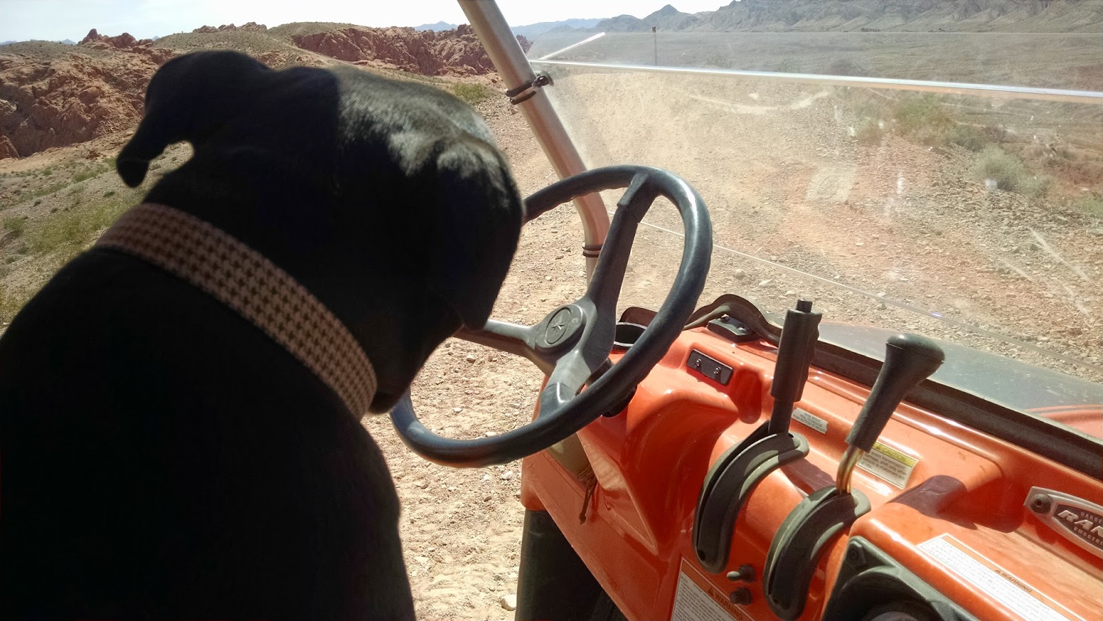 'Lissa's Life in the Southwest: Logandale and the Valley of Fire