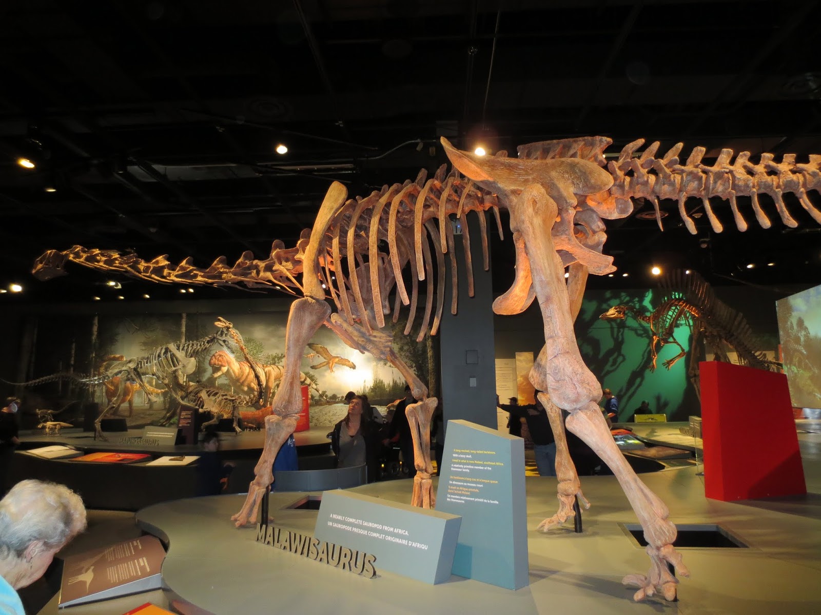 Equatorial Minnesota: Your Friends The Titanosaurs, part 17 ...