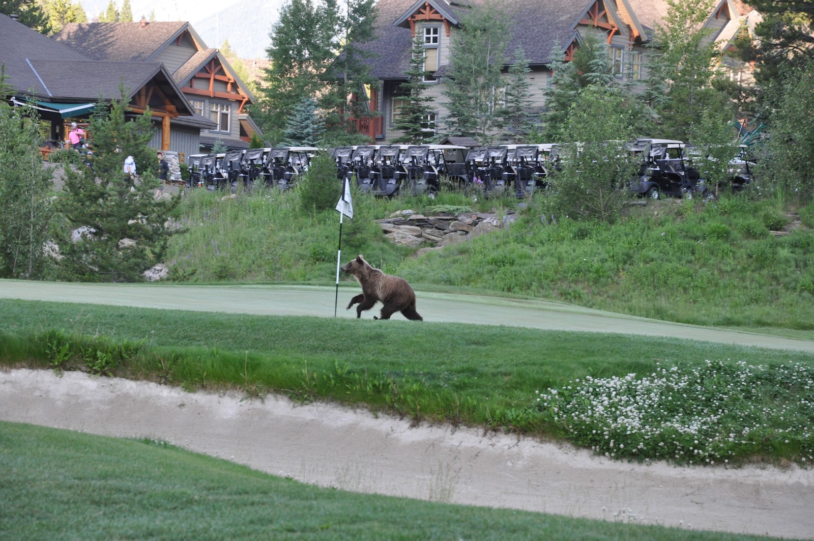 Greywolf Golf Course Turfcare