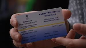 COMO CONSEGUIR UNA COPIA COMPULSADA DEL TITULO DE FAMILIA NUMEROSA ...