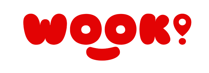 PT. Wook Global Technology