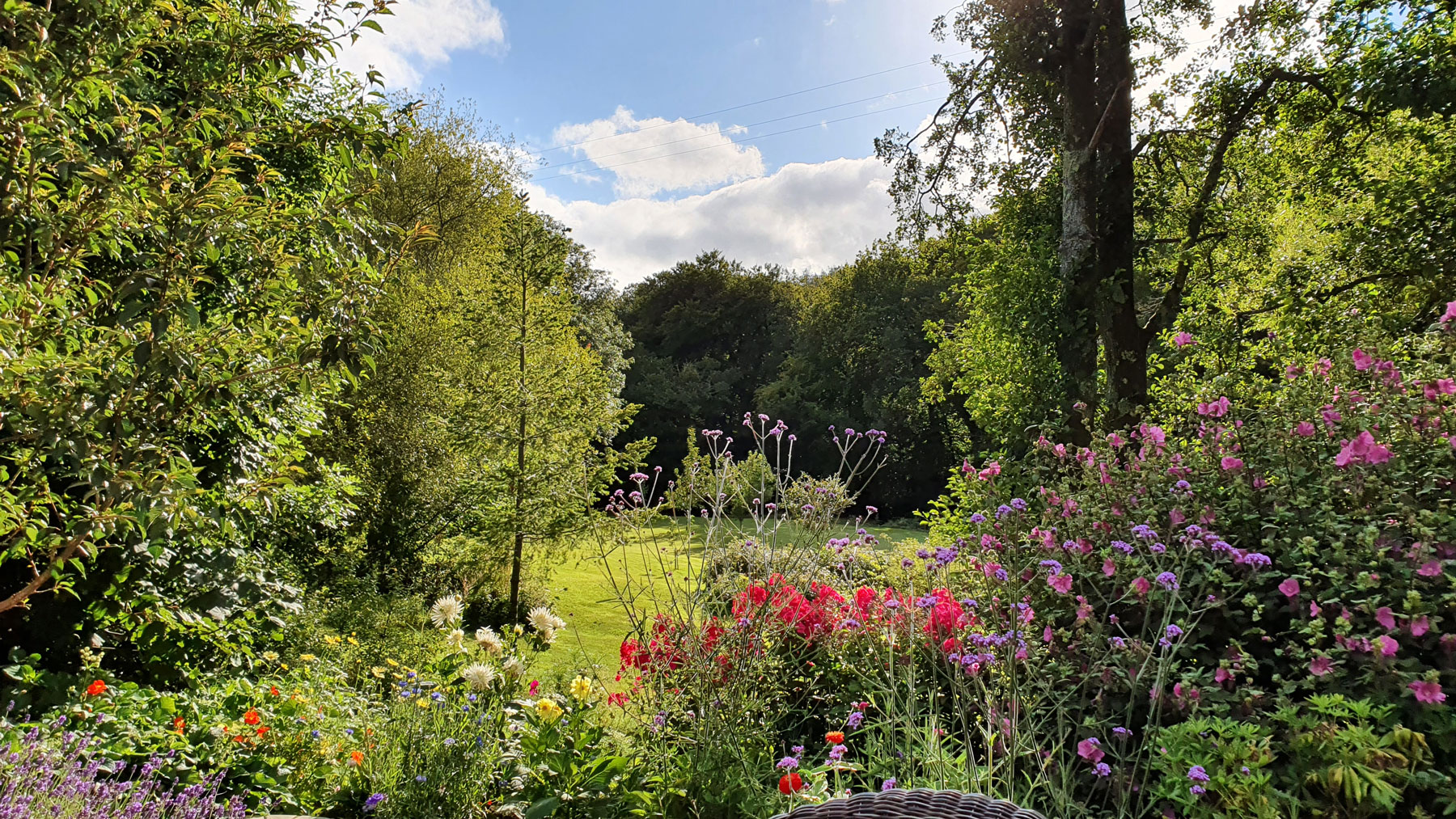 Away From Four Marks: 1st August - Meeth Quarry Reserve, Devon