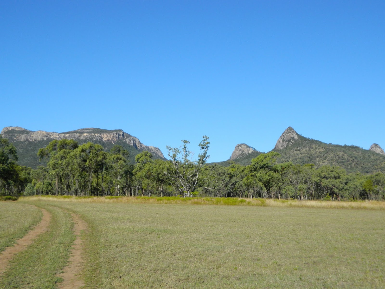 All Aussie Adventures: MOUNT BRITTON / HOMEVALE NATIONAL PARK