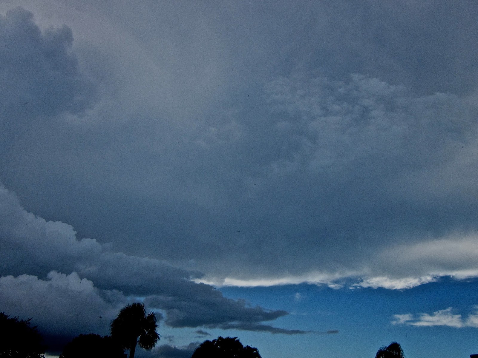 jkwgalleries: White Clouds this afternoon. . . Storm Clouds late yesterday