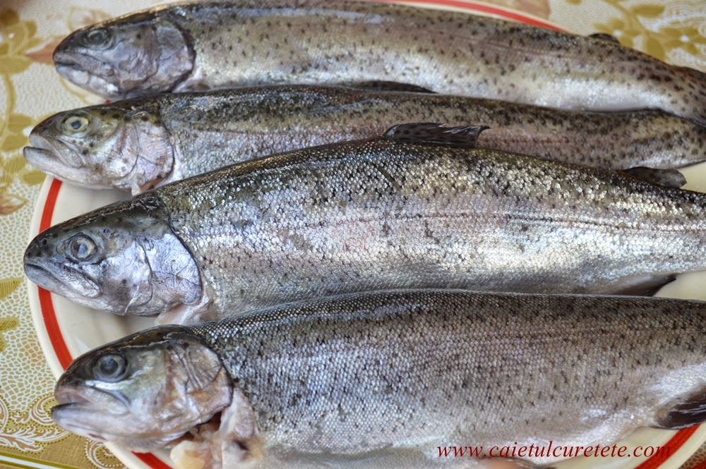 Pastrav la gratar cu frigarui de legume - CAIETUL CU RETETE