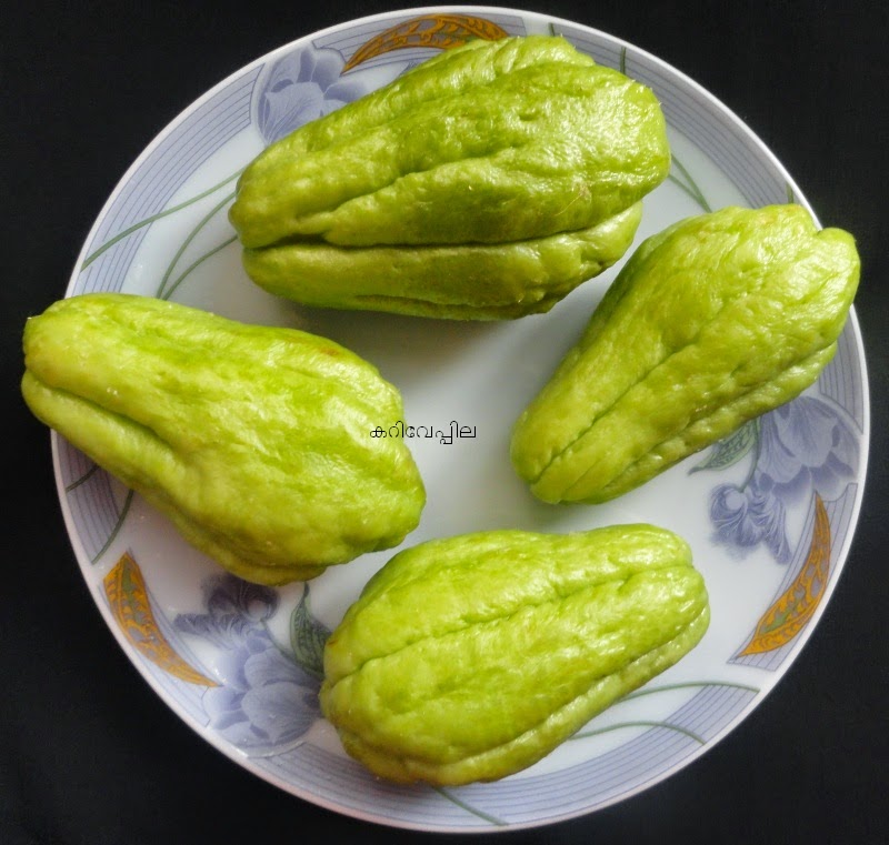 Kariveppila കറിവേപ്പില