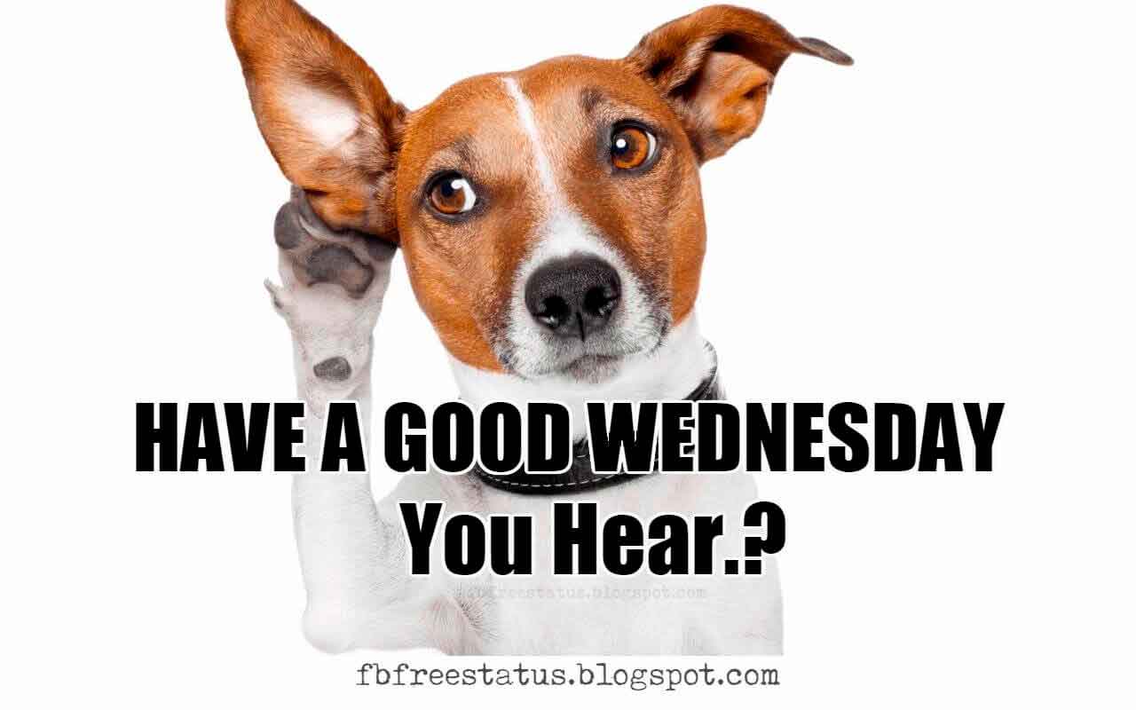 It's Wednesday, Funny & Happy Wednesday Meme with Wednesday Quotes