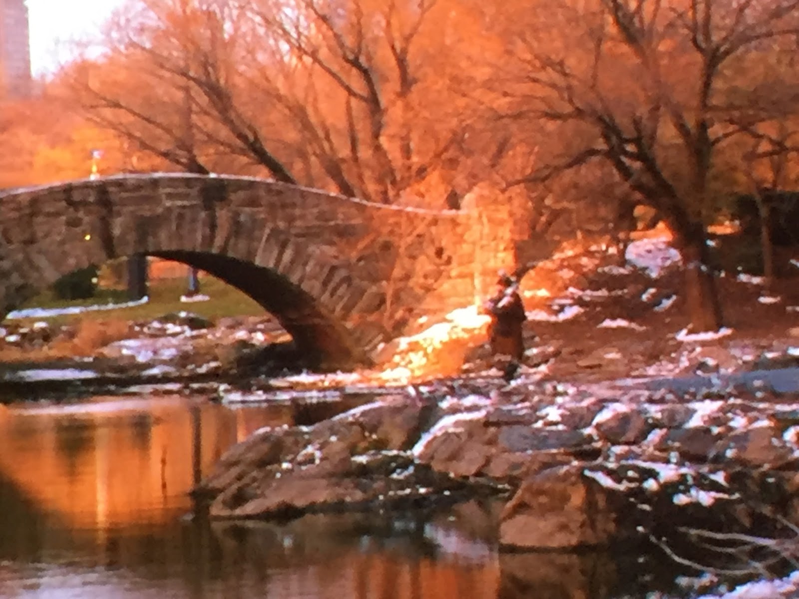 Statue Central Park Home Alone 2 at Harold Olmstead blog