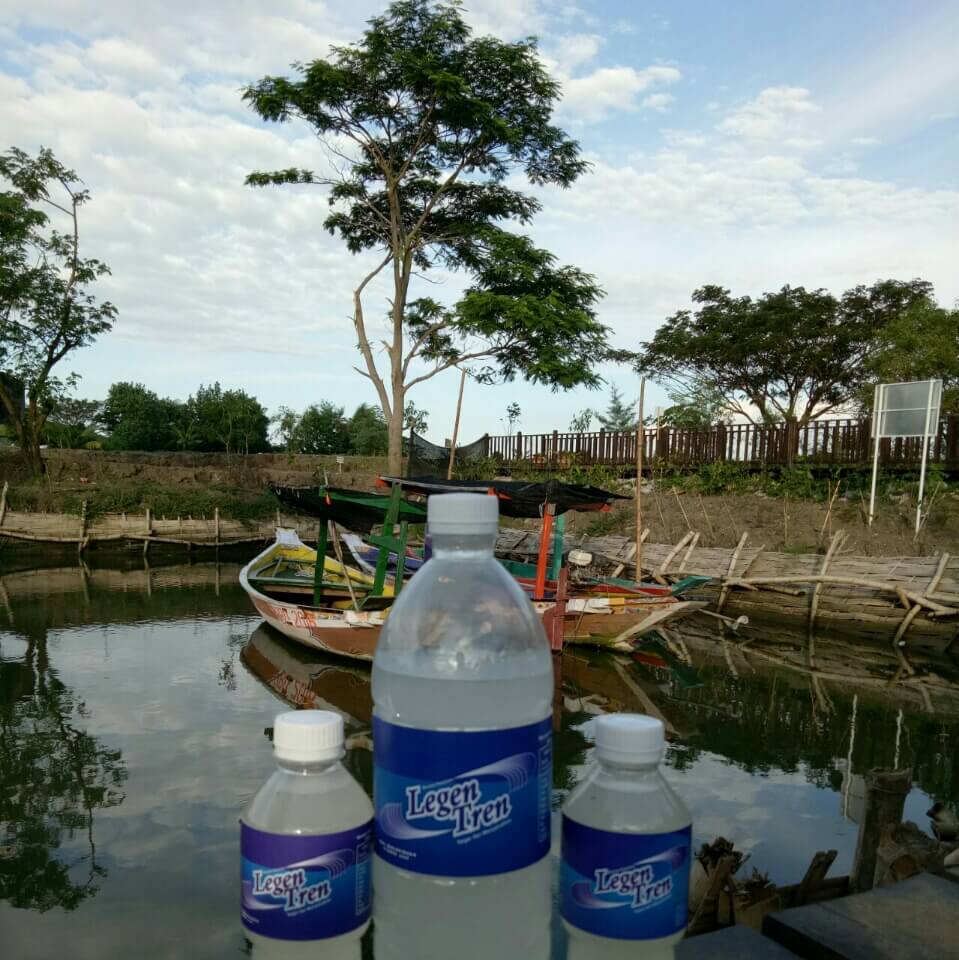 Minuman Legen Untuk Obat Batu Ginjal 08222.91.44567 - Usaha Jual ...