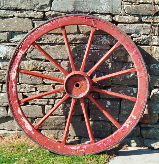 Mi primer año en Red XXI: mayo 2015