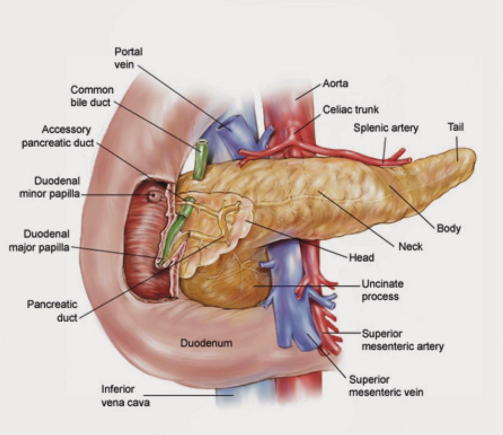 Low Blood Sugar Symptoms What Is Diabetes Mellitus Low Blood Sugar Symptoms What Is Diabetes Mellitus