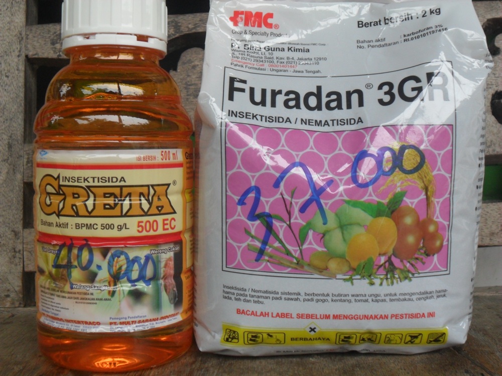 TUGAS PESTISIDA DAN TEKNIK APLIKASI : PENGGOLONGAN INSEKTISIDA - The ...