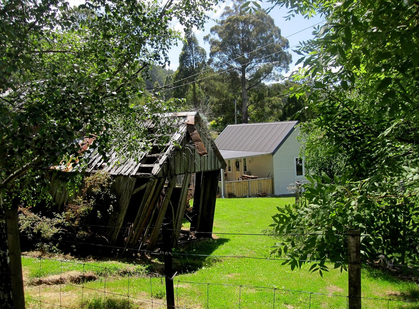 A taste of summer - morning at the Berry Farm