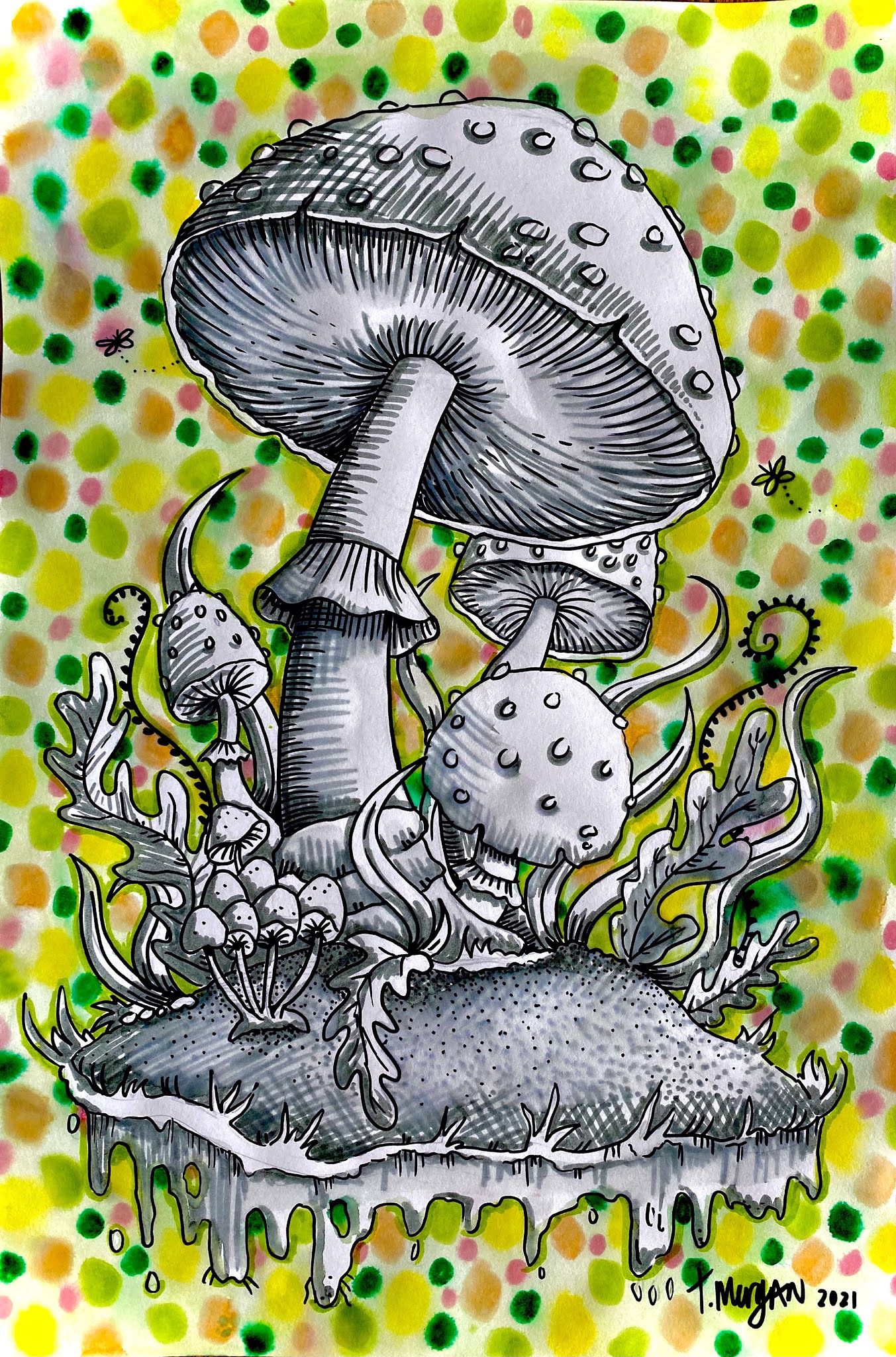 The Lost Sock : Rainbow Mushrooms