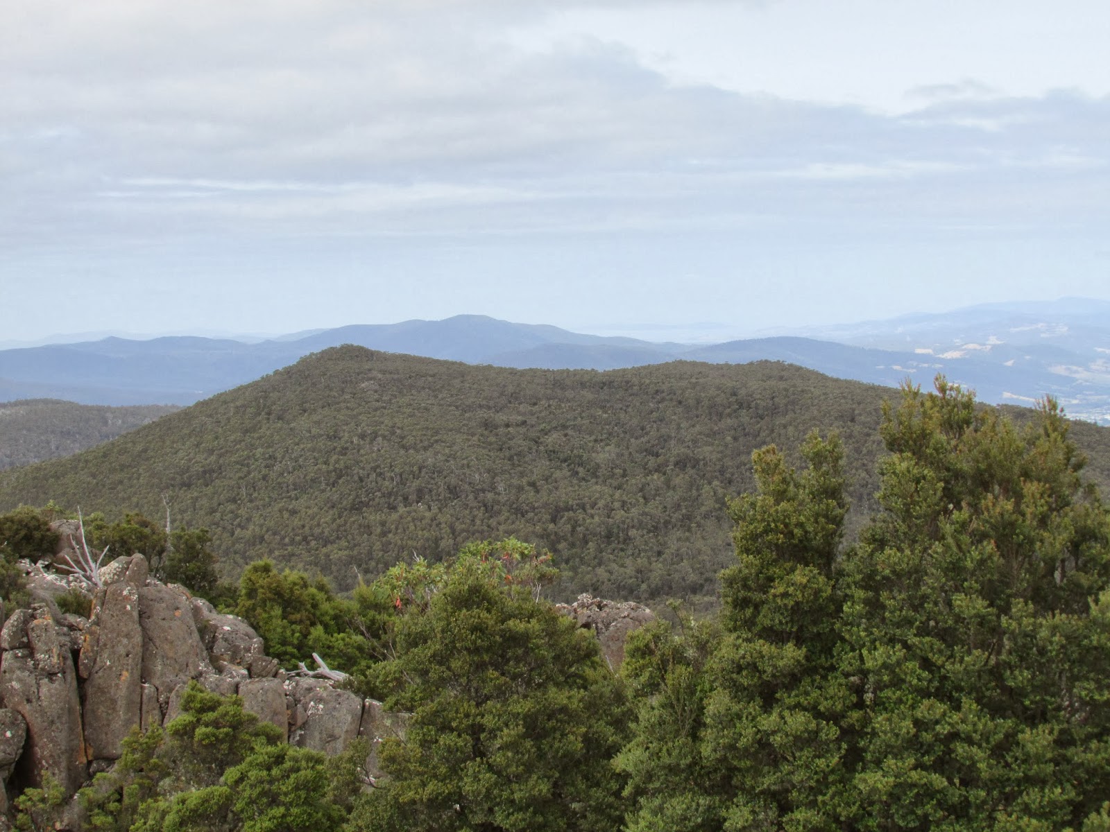Mount Charles | Hiking South East Tasmania