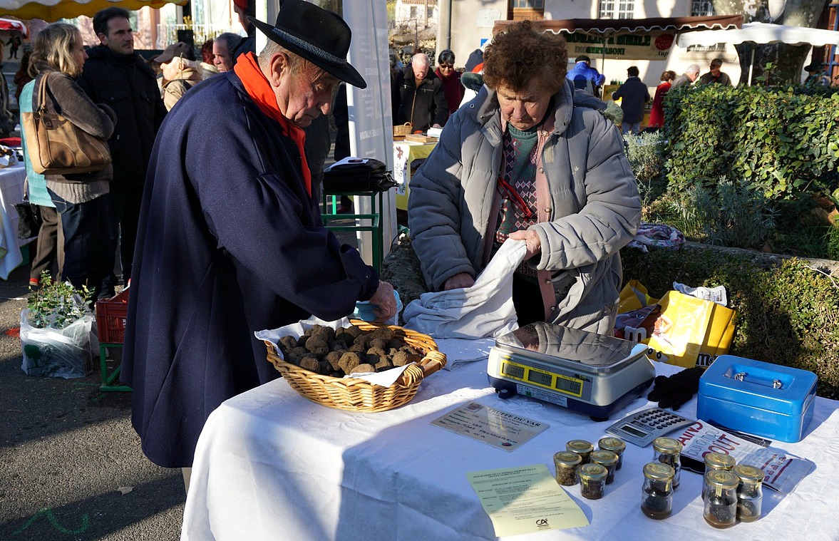 Aups Truffle Festival 2016 | Hiking and Cooking in the South of France