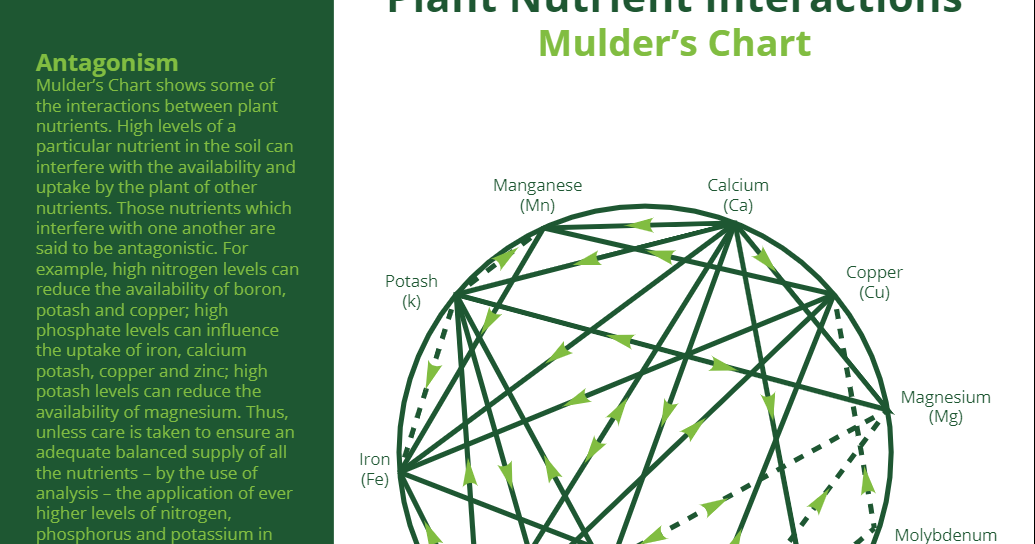 Giant Pumpkin Growing Tips From The Pumpkin Man: Mulder Chart for ...
