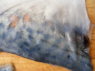With-Water: DIY Fish Leather