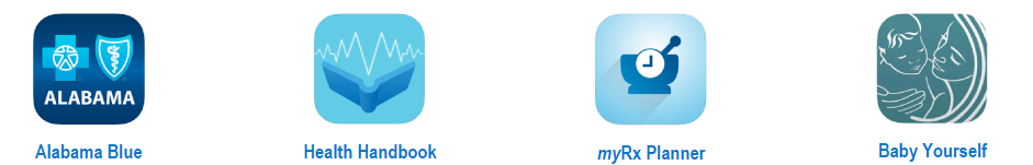 Valley Rubber Wellness Program: BCBS Info