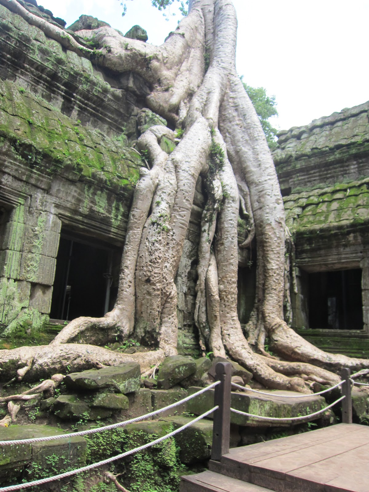 The Path to Significance: Day 2 Siem Reap - Angkor Wat Temples
