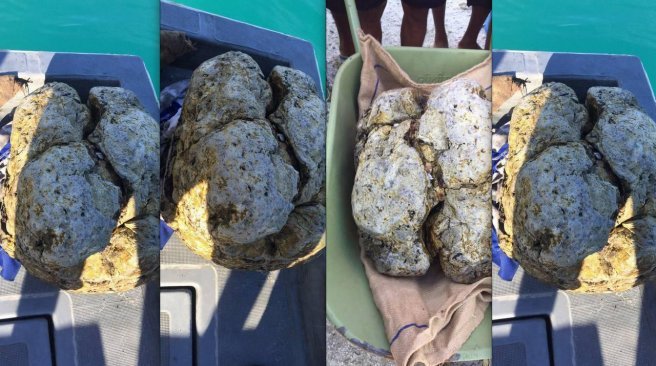 Maldives Archive By: Mustho: WHAT IS AMBERGRIS? HOW TO IDENTIFY IT?