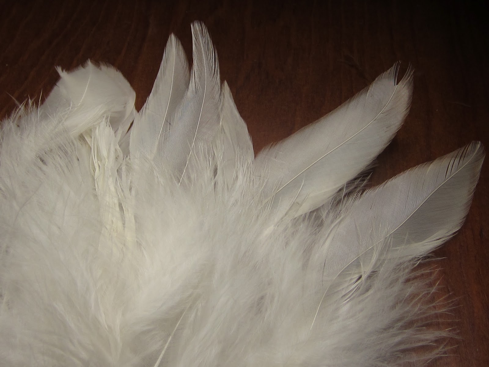 Fly Tying Videos: How to Tie Flies for Freshwater and Saltwater: How to ...